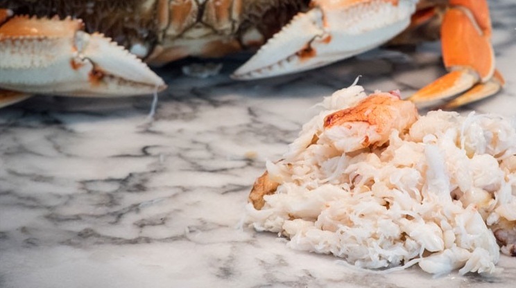 Crab Meat Supplier, Crab Canning Factory, Crab Farming, Crab Meat From ...