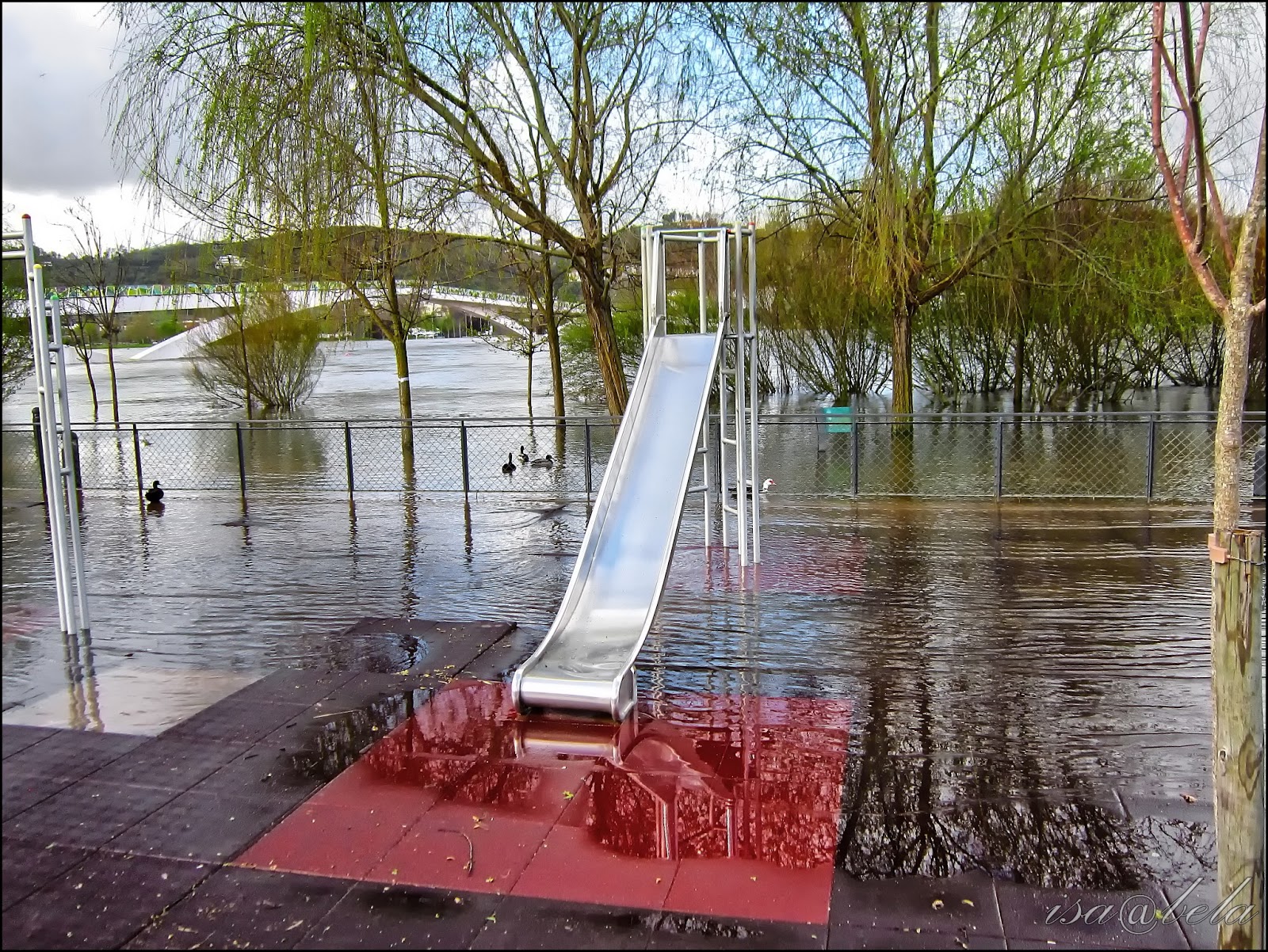 UM PIGO DE LUZ: Docas e as Cheias do Mondego / Coimbra