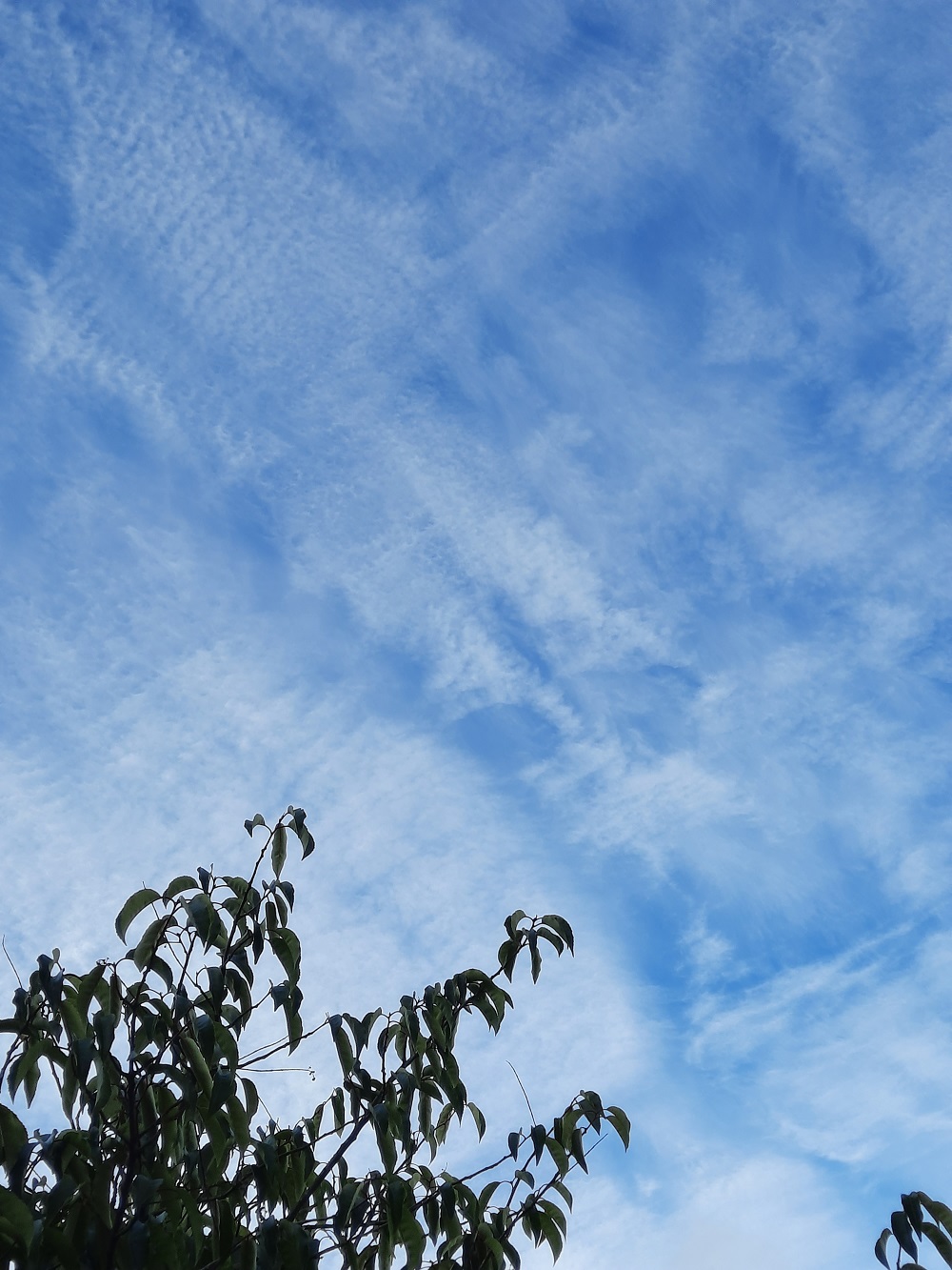 A Glorious Sky in Early March