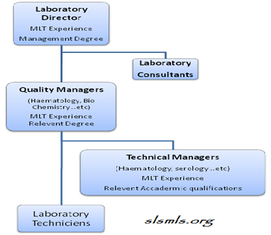 Clinical Research Organization