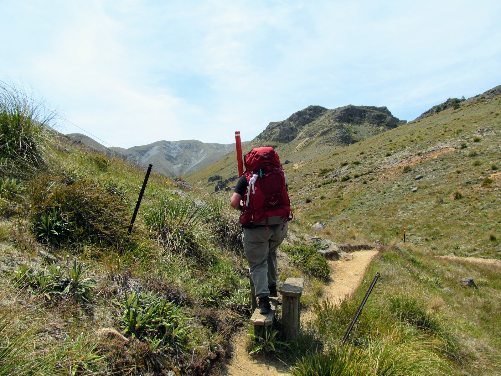 Tramping in the New Zealand backcountry: NZ Bush Adventures: Track ...