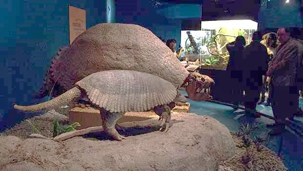 Sthefany Aviles 518: Reseña; Exposición de Darwin 2014