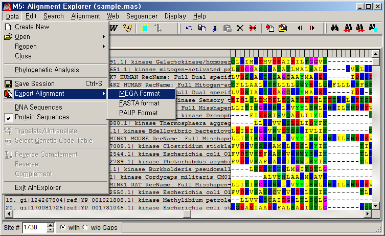 Lee Gir Won: MEGA5 Usage