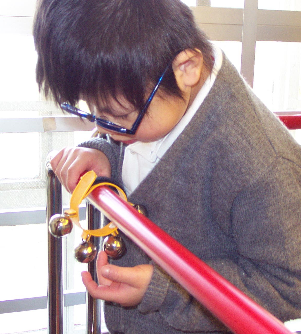 Low vision training ( visual training ) strategies for cerebral visual ...