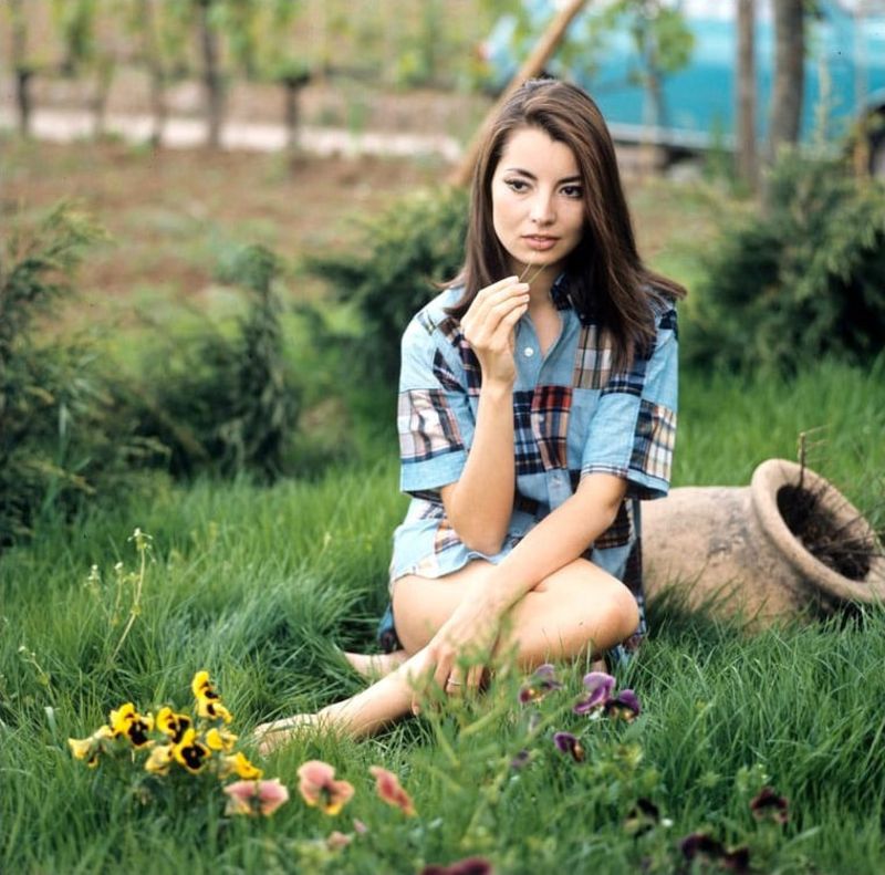 33 Beautiful Photos of French Actress Jacqueline Sassard in the 1950s ...