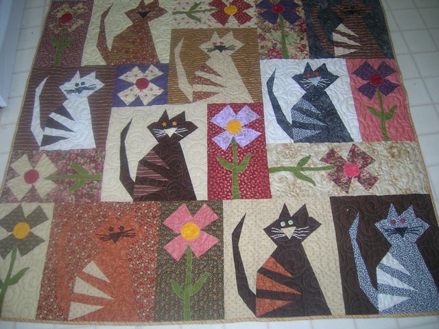 Life in the Slow Lane: A Clowder of Crazy Cats