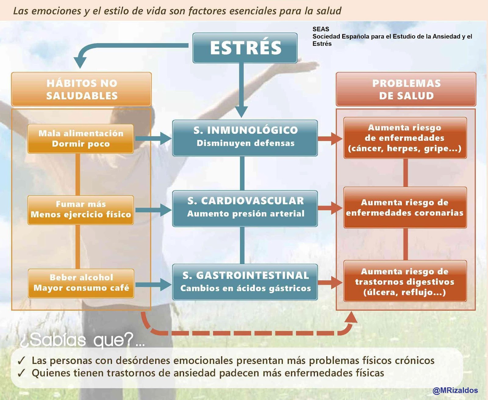 El estrés: causas y efectos | Estres, Como combatir el estres, Salud