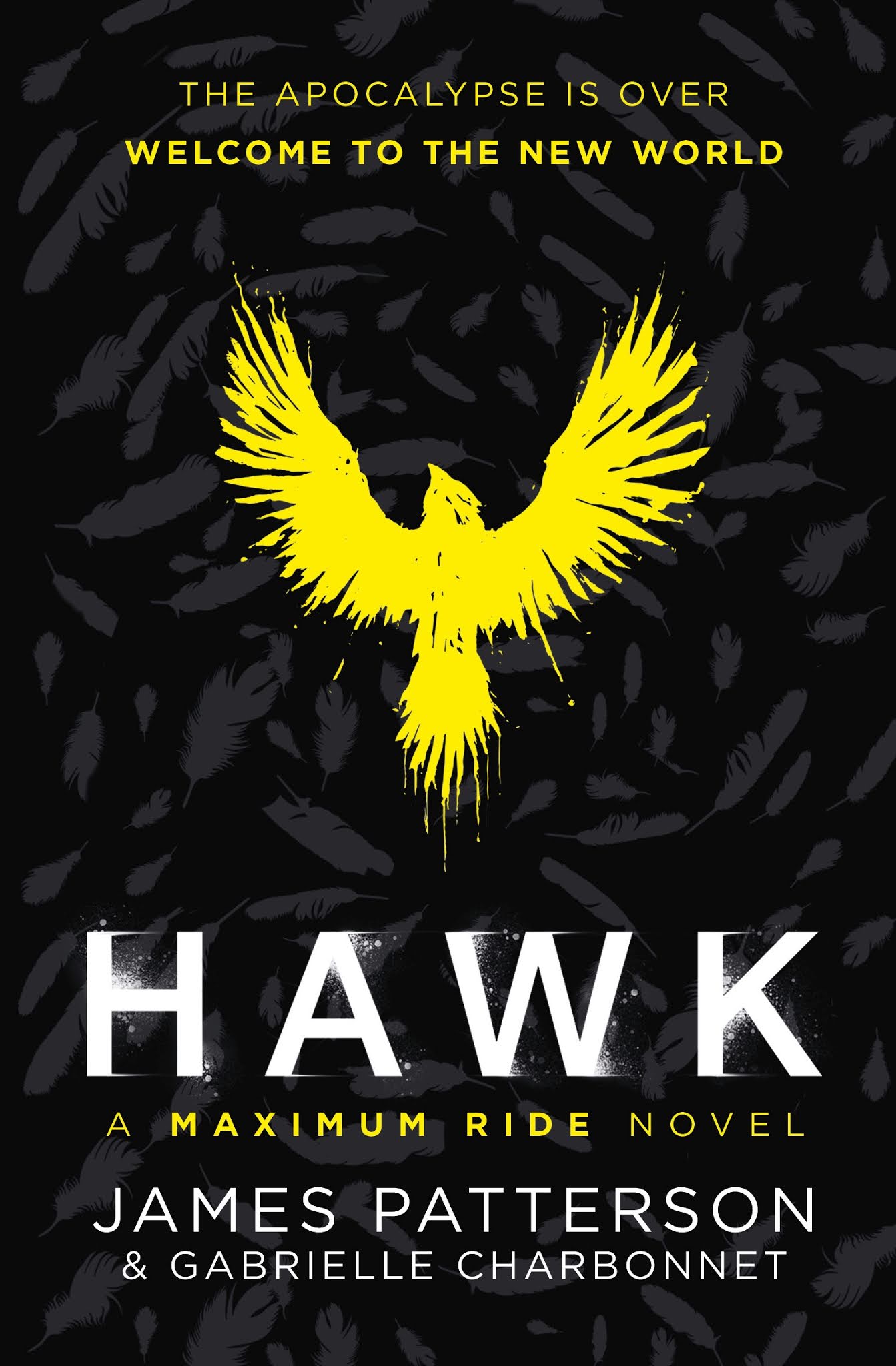 Kids' Book Review: Review: Hawk