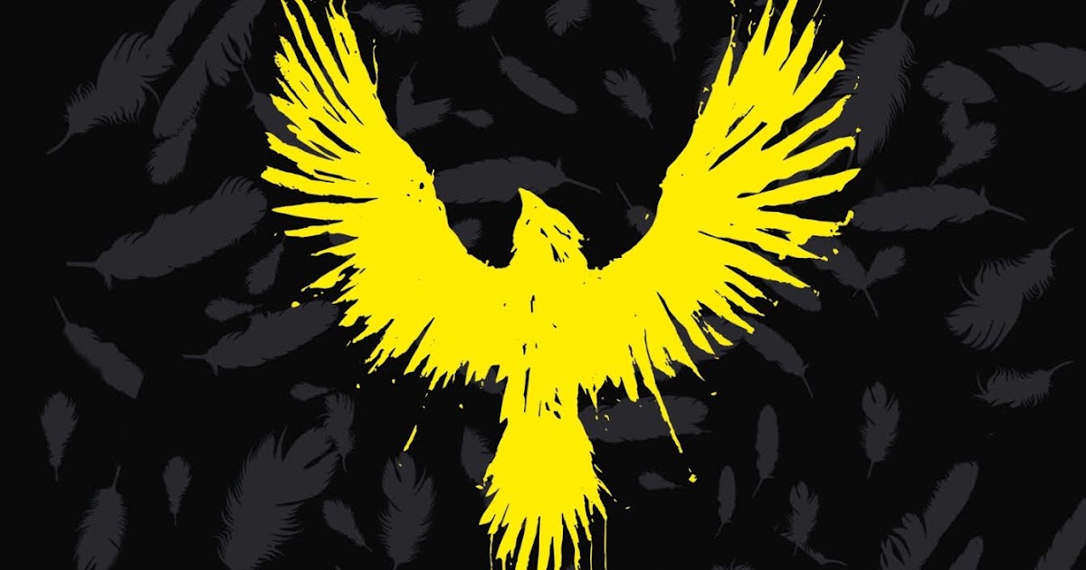 Kids' Book Review: Review: Hawk