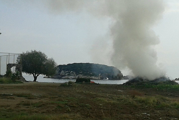 SALAMIS-NEWS: Γι’ άλλη μια φορά ”ανορθόδοξη” περισυλλογή, αλλά και ...