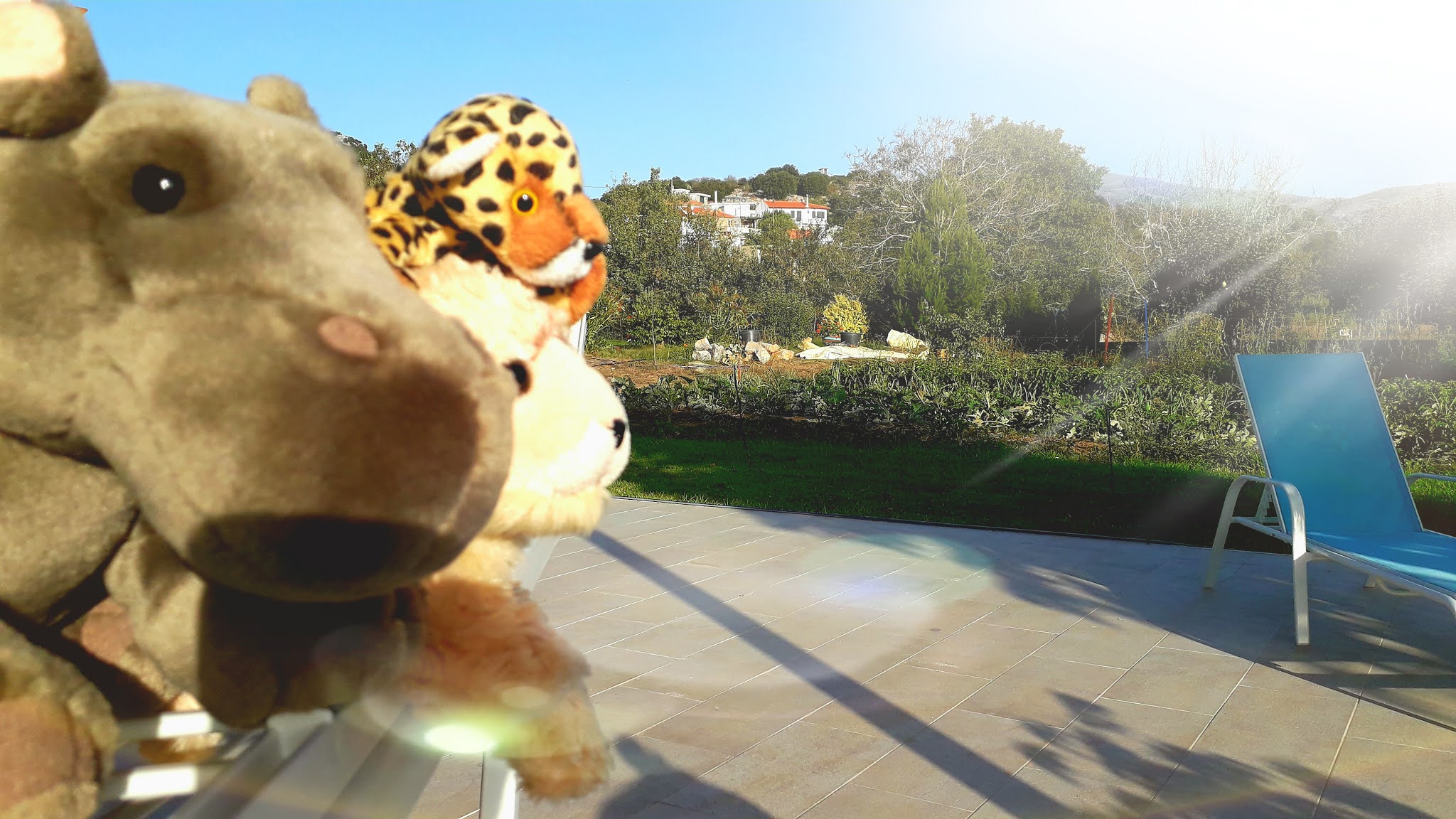 Voyages en Crète ''Ταξιδεύει στην Κρήτη'': Voyage en Crète 4 - Jour 7 ...