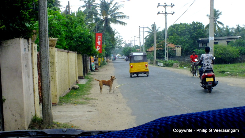 Images of Sri Lanka on blogspot.com: Scenes around Manipay, Sri Lanka.