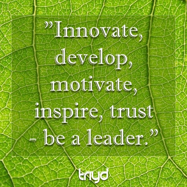 Unknown Quote: "Innovate, develop, motivate, inspire, trust - be a leader."