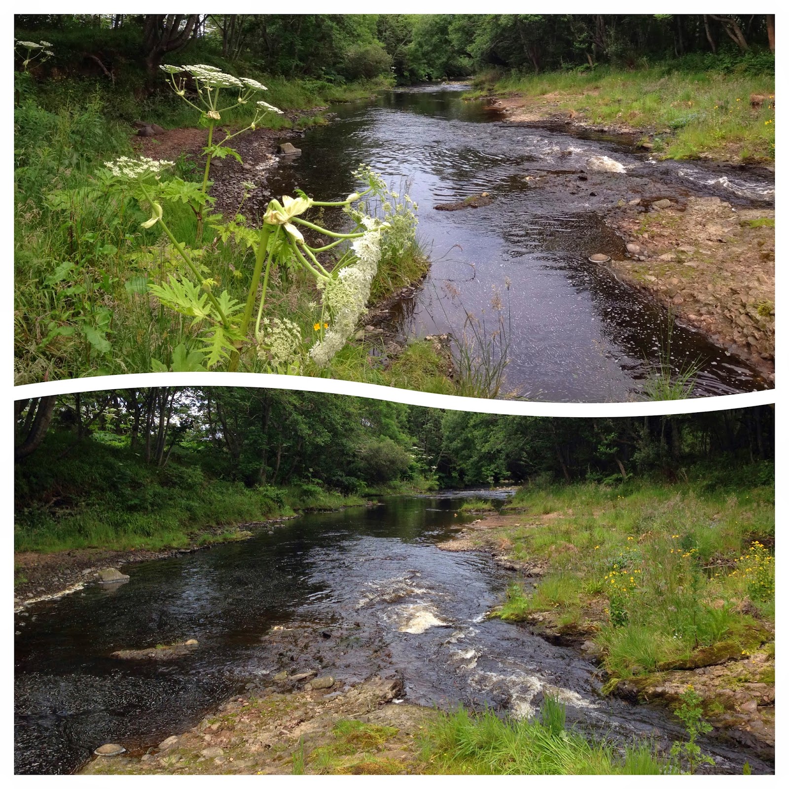 Eric Walker - Life's for Living