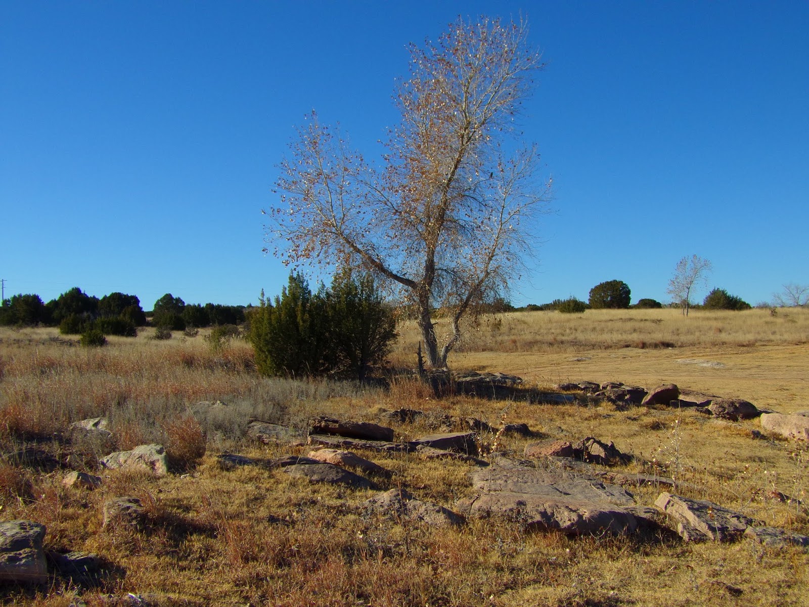 Sumner Lake State Park, Fort Sumner, New Mexico