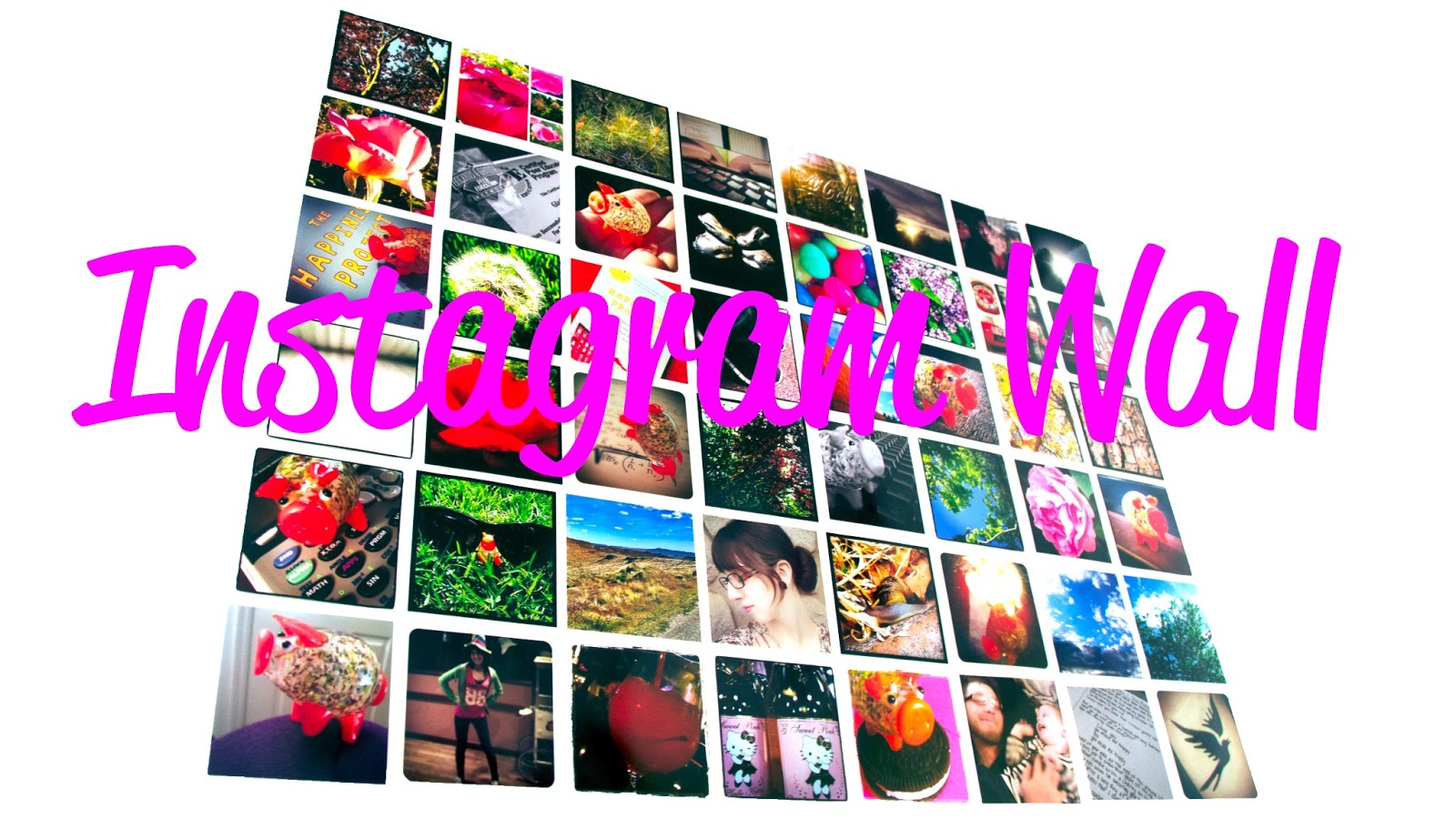 Gibberish Glady: Instagram Wall!