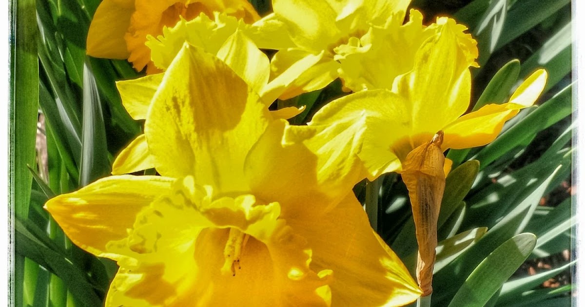 photowannabe: SPRING IS POPPING OUT ALL OVER