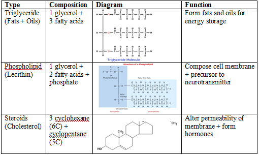 IB Chem Helper: B. Human Biochemistry