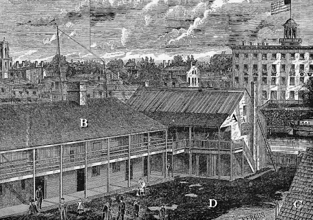 The Digital Research Library of Illinois History Journal™ : The ...