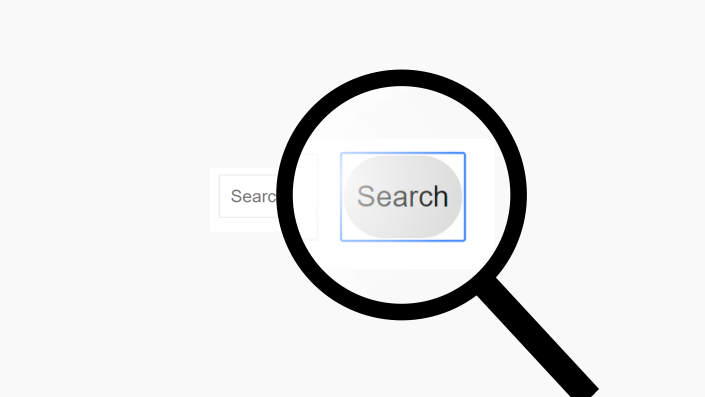 How To Remove Blue Border On Targeted Button And Input Box HTML CSS how-to-remove-blue-border-on-targeted-button-and-input-box-html-css