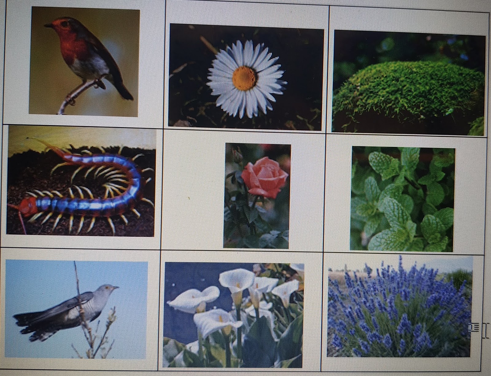 BINGO MAHAI-JOLASAK HAUR HEZKUNTZAN