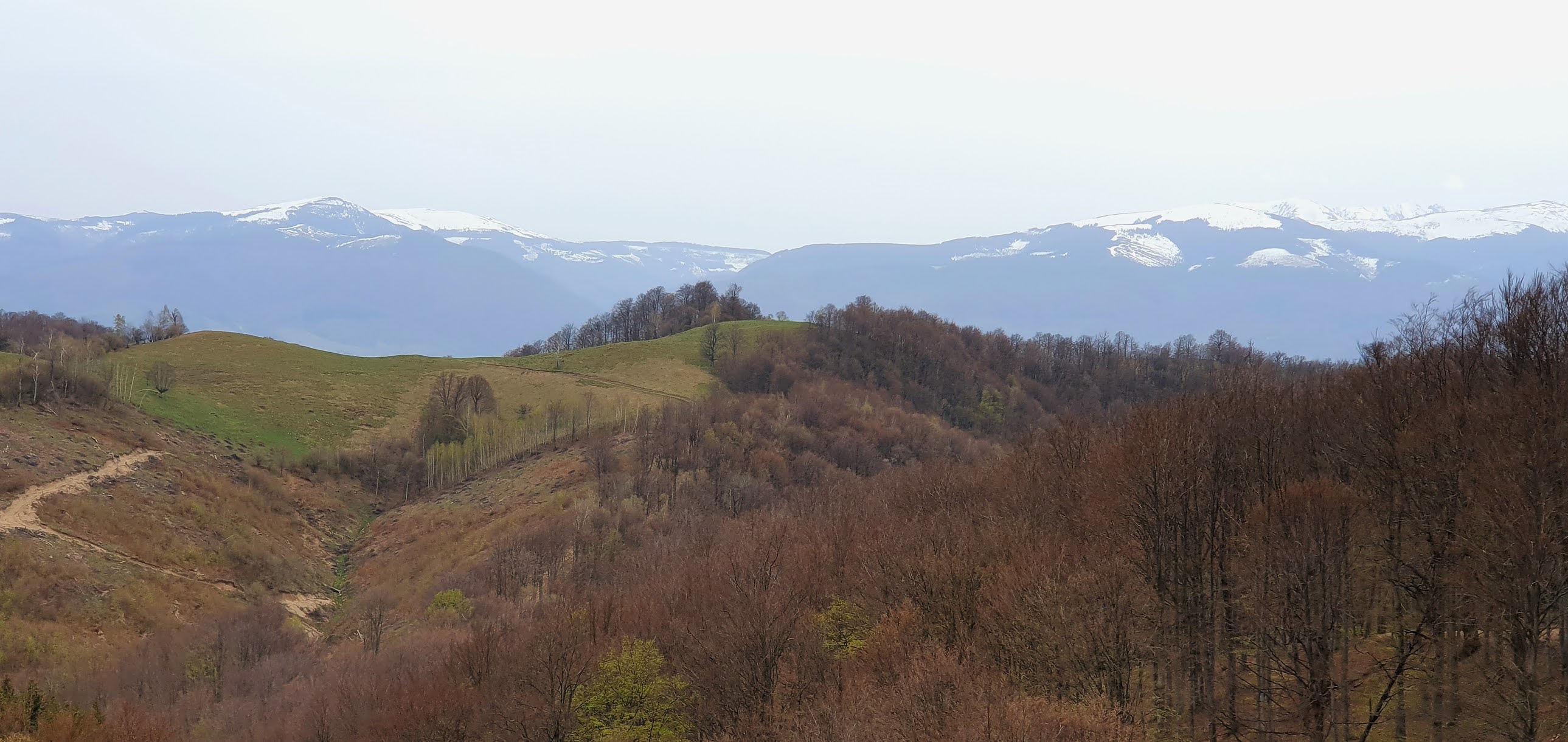 Prin Parcul National Gradistea Muncelului - Ciclovina