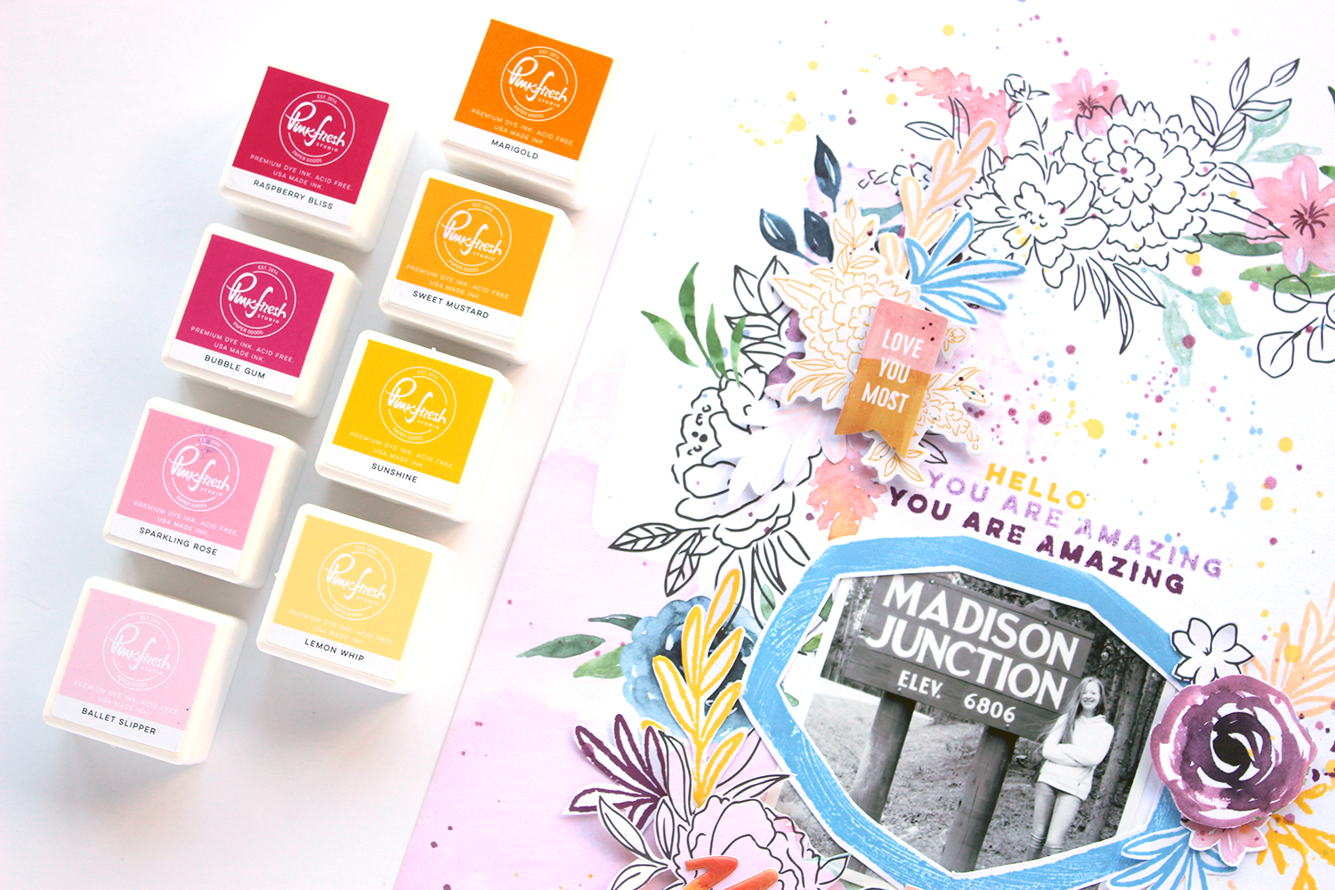 Ashley Horton Designs: Pinkfresh Studio Ink Pad Release Blog Hop