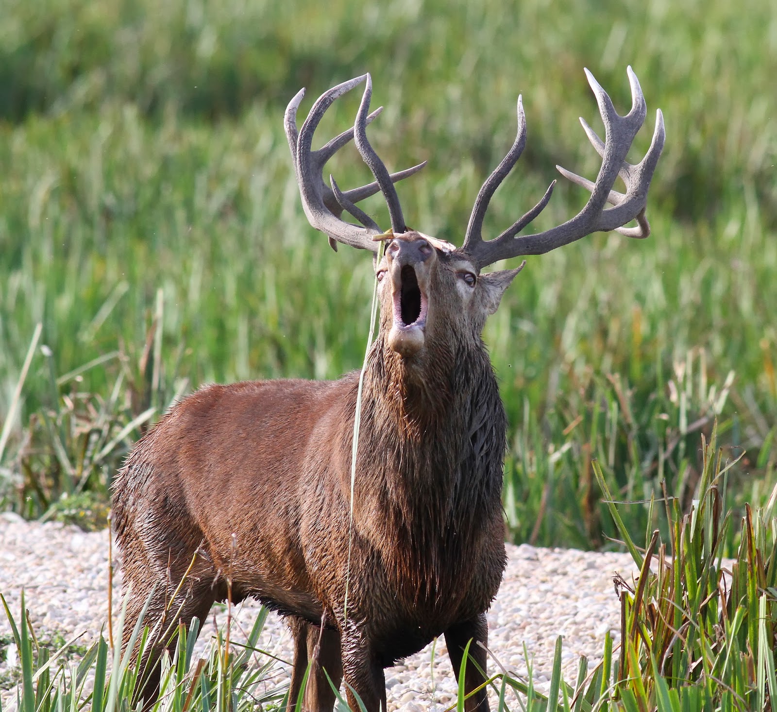 Navarra al natural: octubre 2013