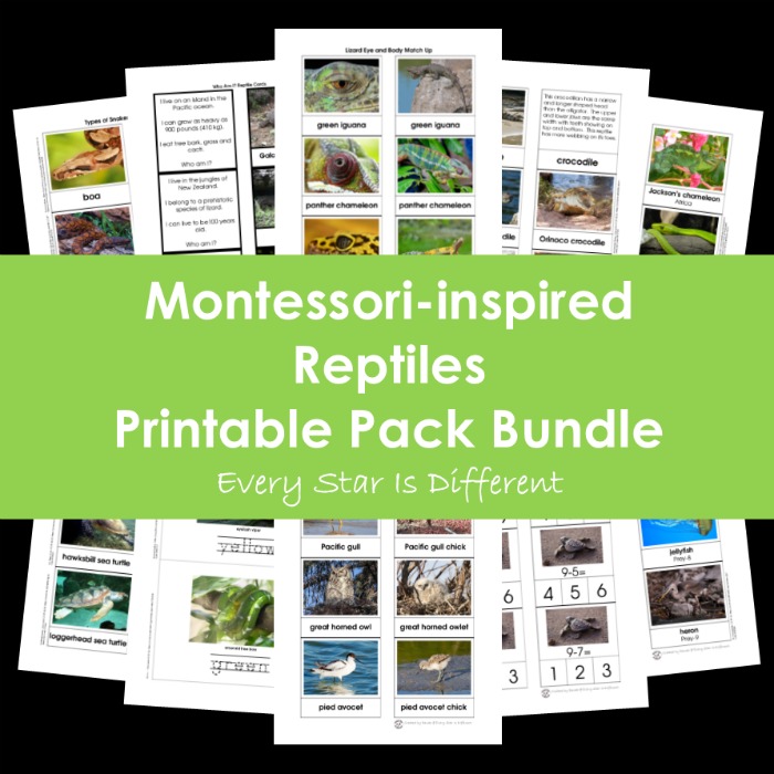 Reptiles & Amphibians Unit with FREE Printables - Every Star Is Different