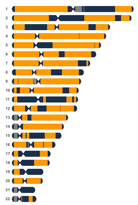 Your Genetic Genealogist: AncestryDNA: Confusing Relationship ...
