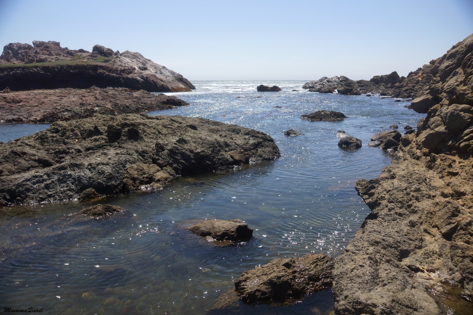 Mamma Quail Hiking California : Hiking the Shoreline at Estero Bluffs ...