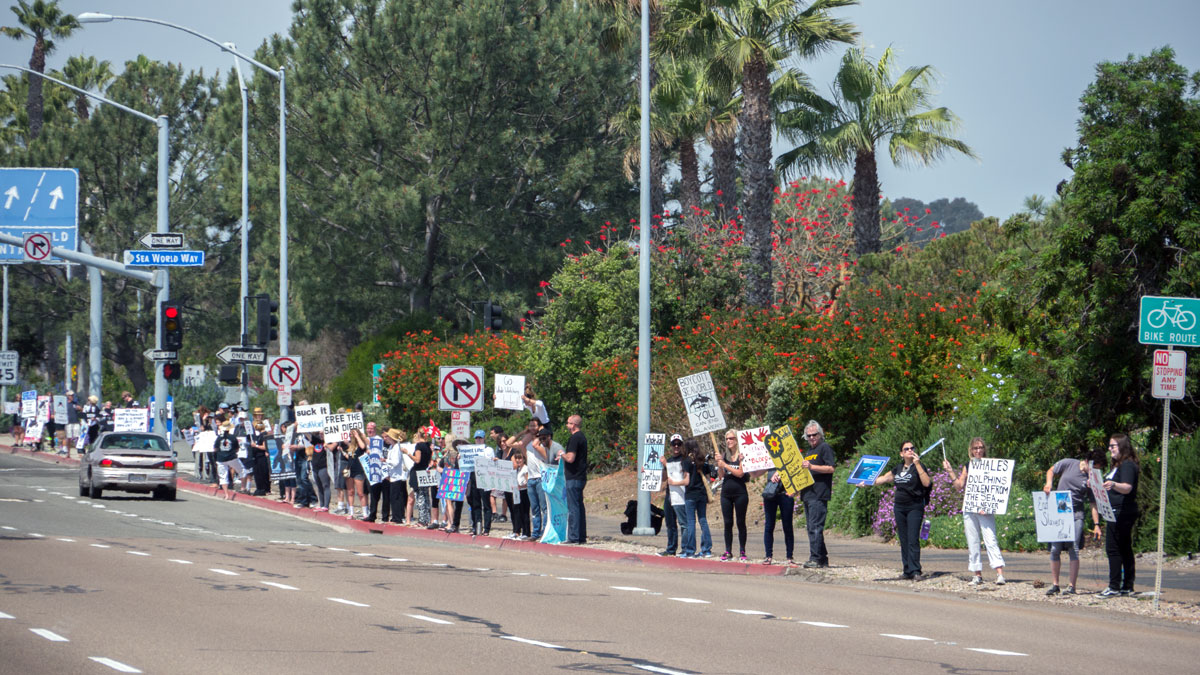 Eye Paint Art: Anti-SeaWorld Protests Gain Momentum