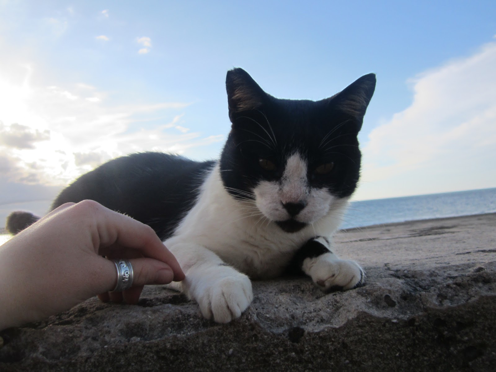 east coast heart and a west coast mentality: NASBR conference in Puerto ...