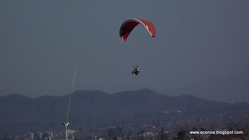 Aves del NOA y algo mas..: Parapentes en Salta