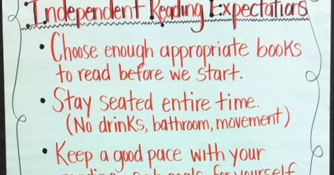 ELA Anchor Charts: Independent Reading Expectations