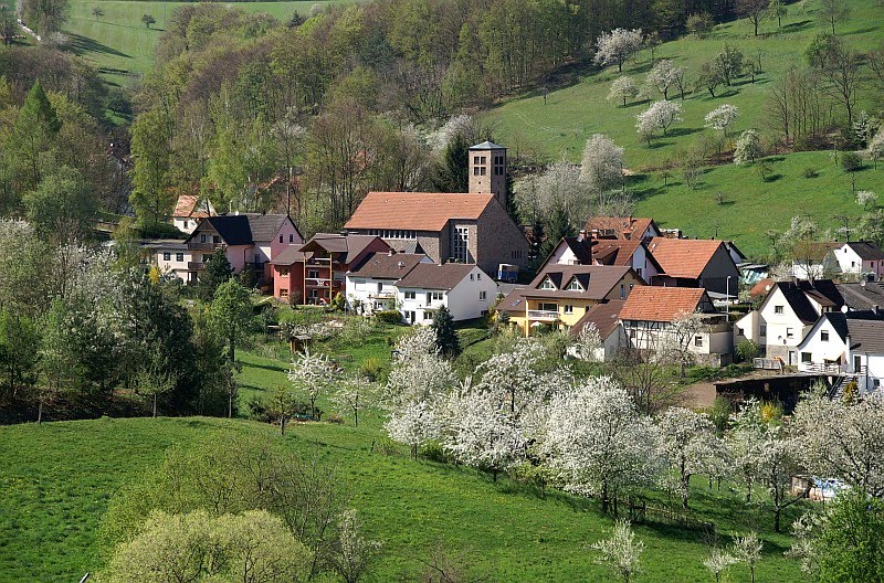Studi Jerman: Frühling in Deutschland * Musim Semi di Jerman