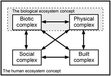 BES Urban Lexicon: Urban Ecology