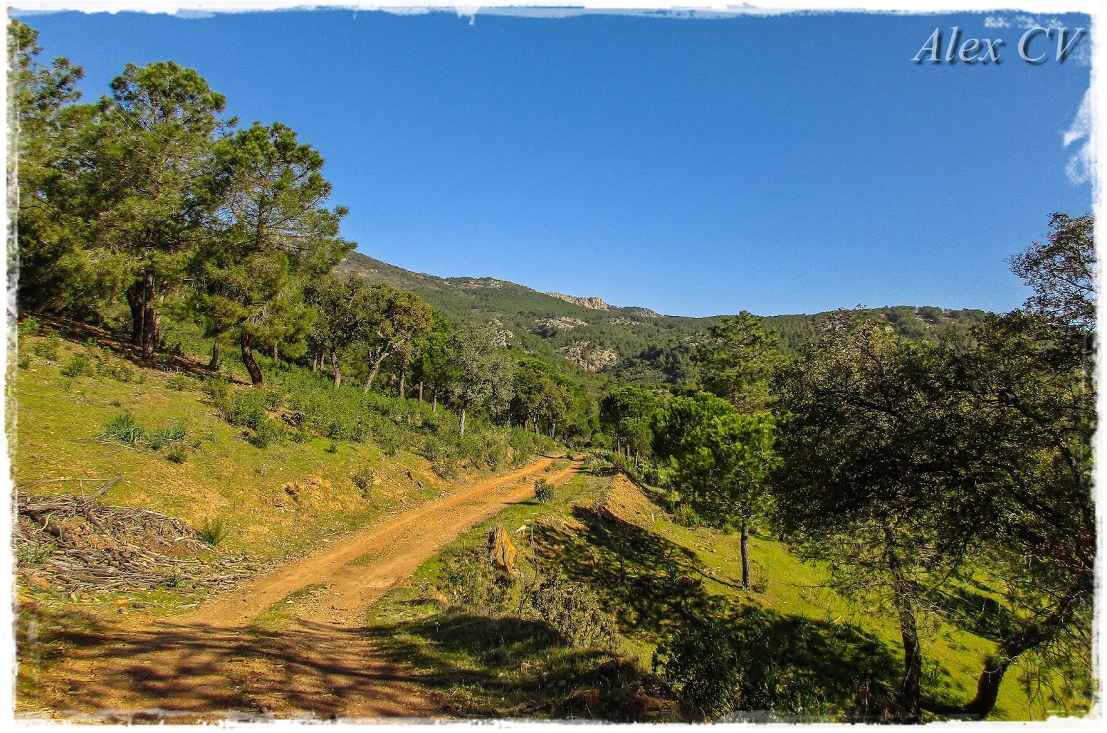 POR LOS CERROS DE ÚBEDA: CIRCULAR MIRANDA DEL REY, CASA DEL HORNILLO ...