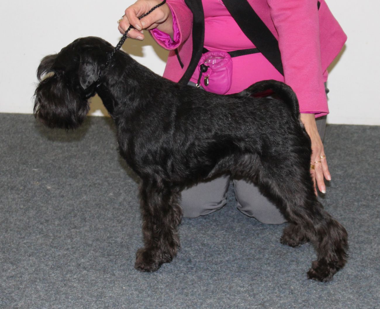 Kennel Greedy Rascal's