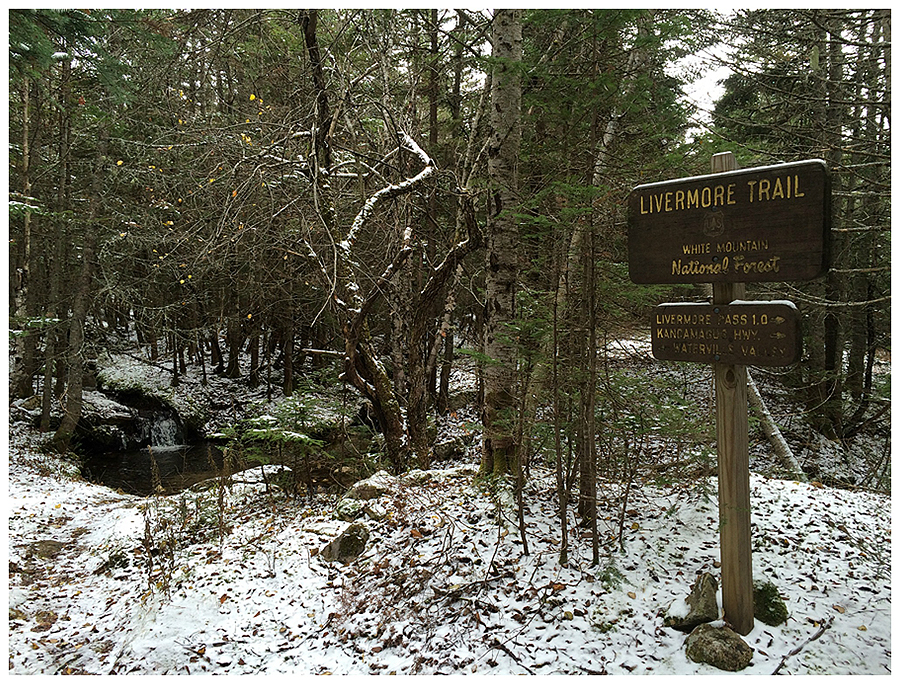 Hiking in the White Mountains: Livermore Pass and the Old Town of ...