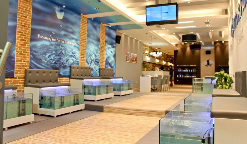 Fish Spa - Be Glossy In and Out!