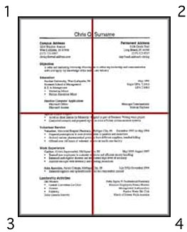 Apa Resume Sample - Collage Template