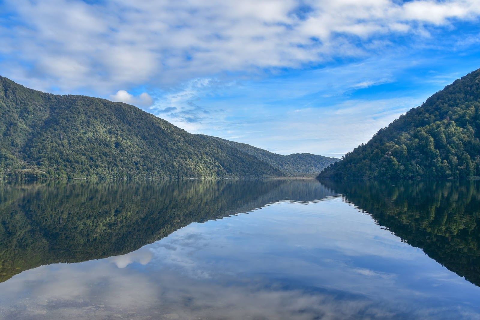 Paws Awhile: Lake Paringa