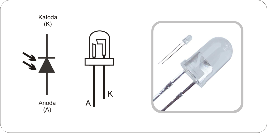 Light Emitting Diode (LED)