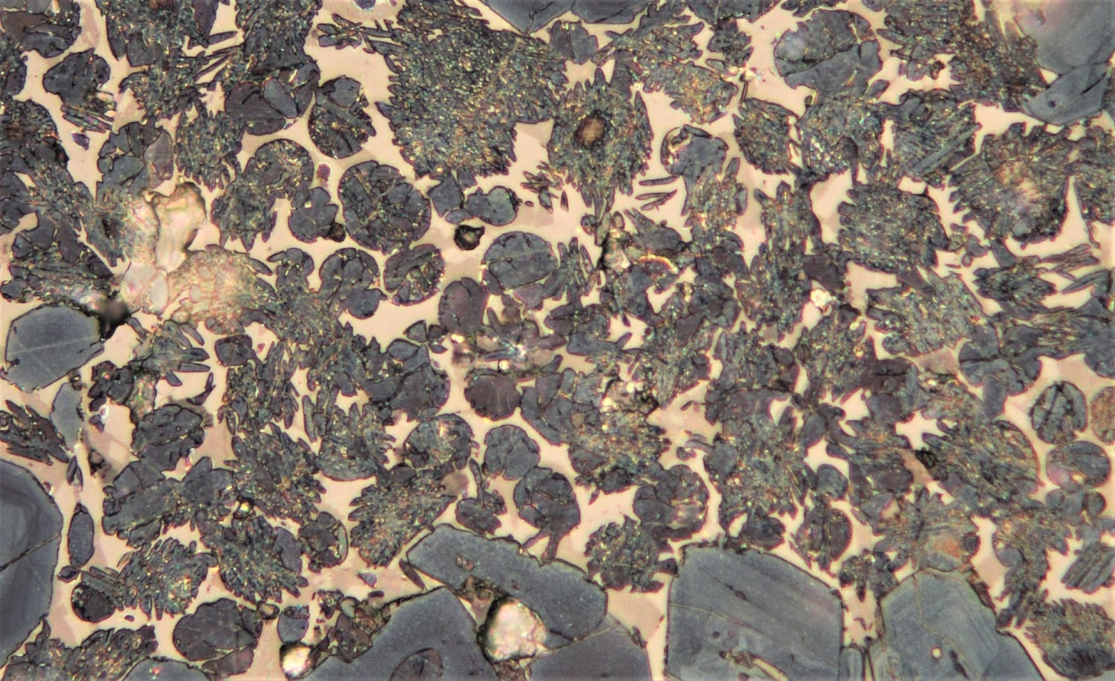 Cement clinker microscopy