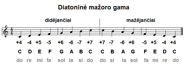 Grok armonikėle: Pirmosios natos