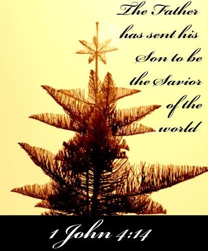 The Father has sent his Son to be the Savior of the world