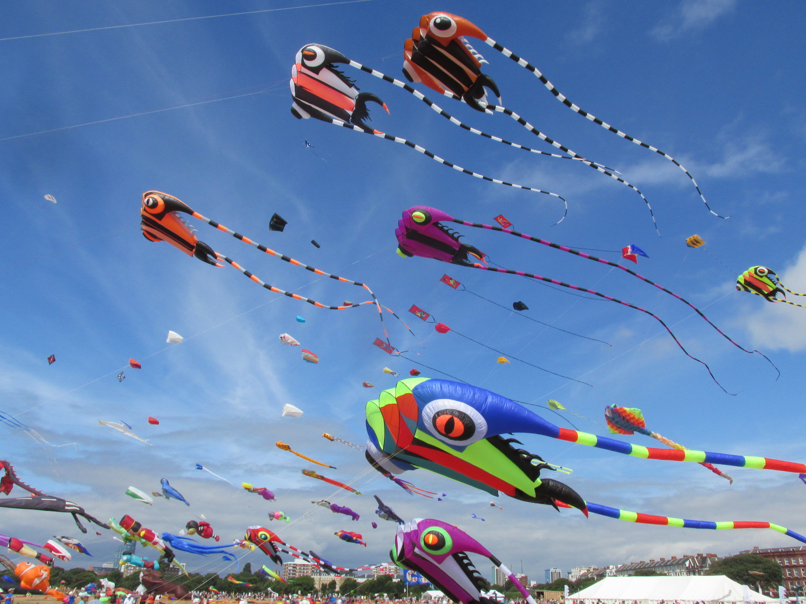 Flying Fish Kiting Team: Festival dates 2017