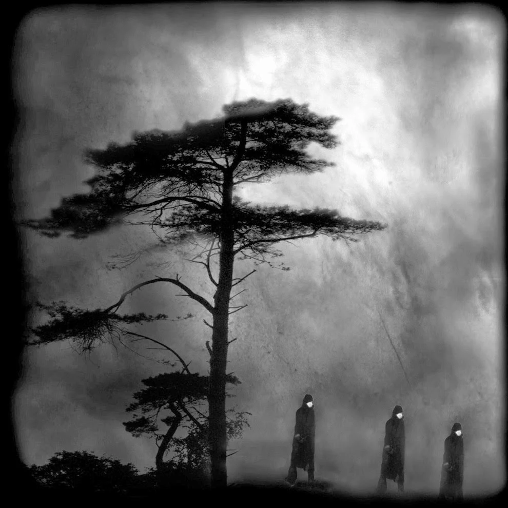 Anja Bührer | Surreal silhouettes | Tutt'Art@ Masters