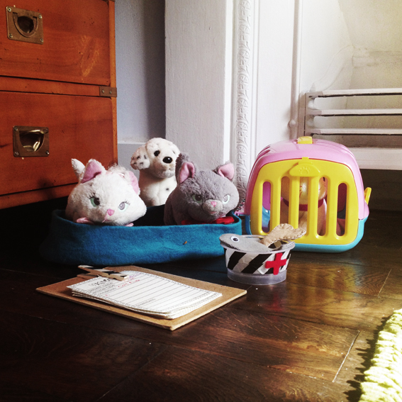 Queen Kwak: DIY: Play vet kit.